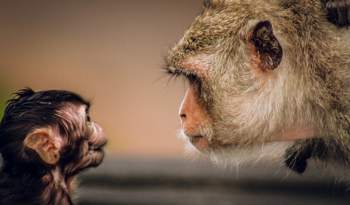 Dumb apologetics arguments for the 'soul' - Roll to Disbelieve